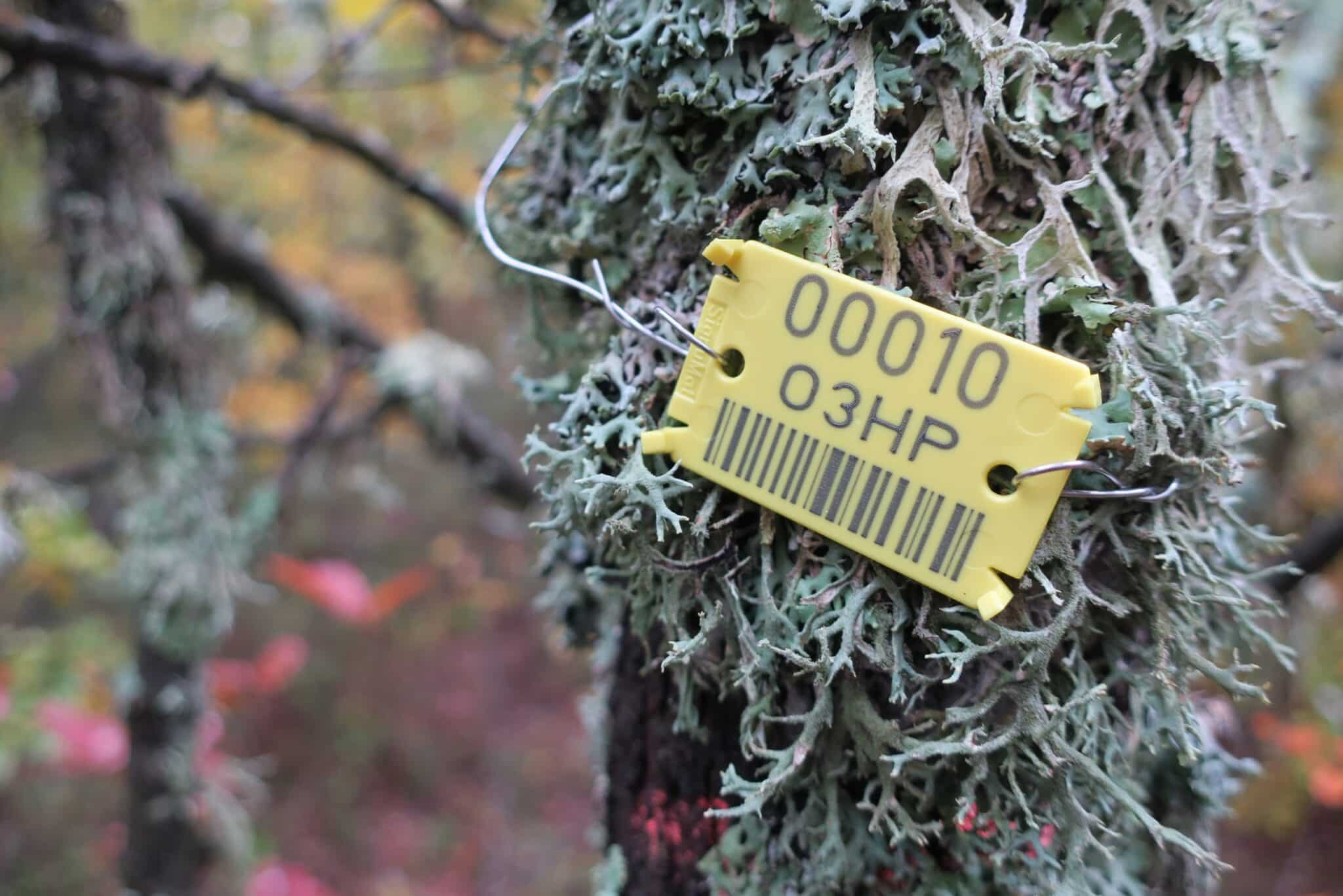 Master BEE - Masters OSU Pythéas