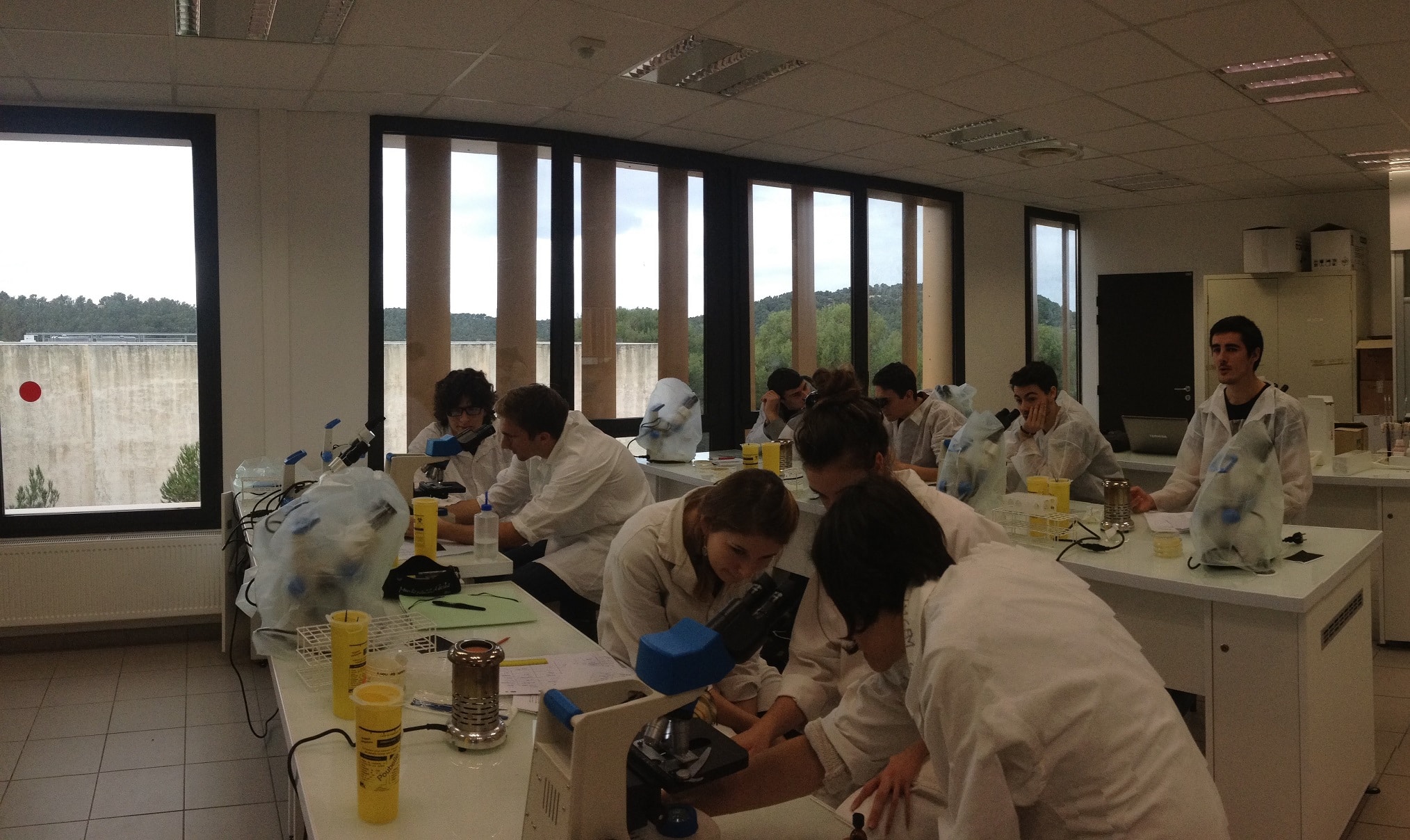 Océanographie biologique, écologie marine - OBEM - Masters OSU Pythéas